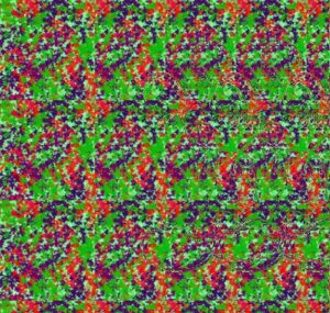 What is a Stereogram? The Hidden Magic Behind the Illusion - The magic ...