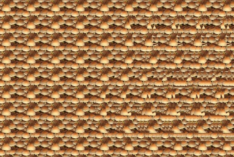 What is a Stereogram? The Hidden Magic Behind the Illusion - The magic ...