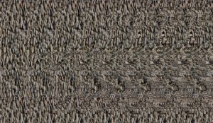 History of Stereograms: From 1800s to Digital Age - The magic Eye 3D