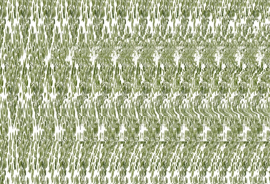 Hidden Wonders: Unveiling This Week’s Stereogram Secrets - The magic Eye 3D