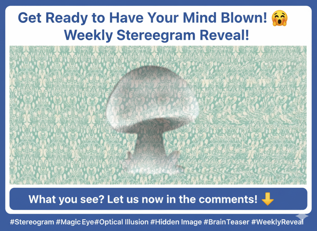 Hidden Wonders: Unveiling This Week’s Stereogram Secrets - The magic Eye 3D