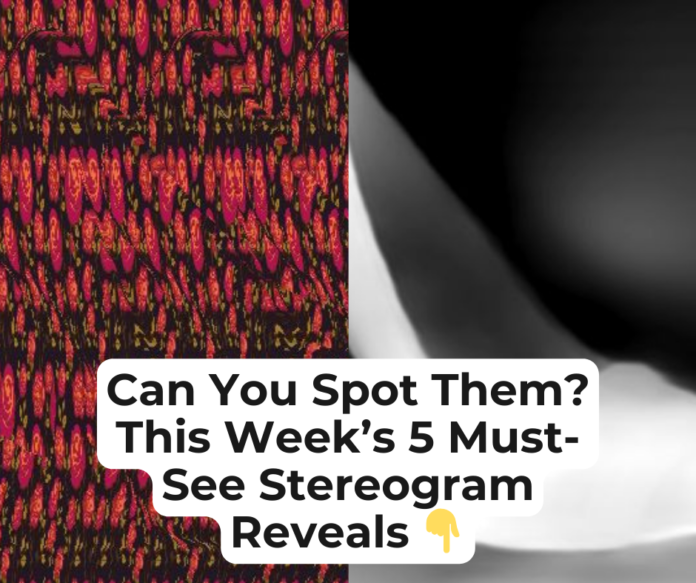 Can You Spot Them? This Week’s 5 Must-See Stereogram Reveals - The ...