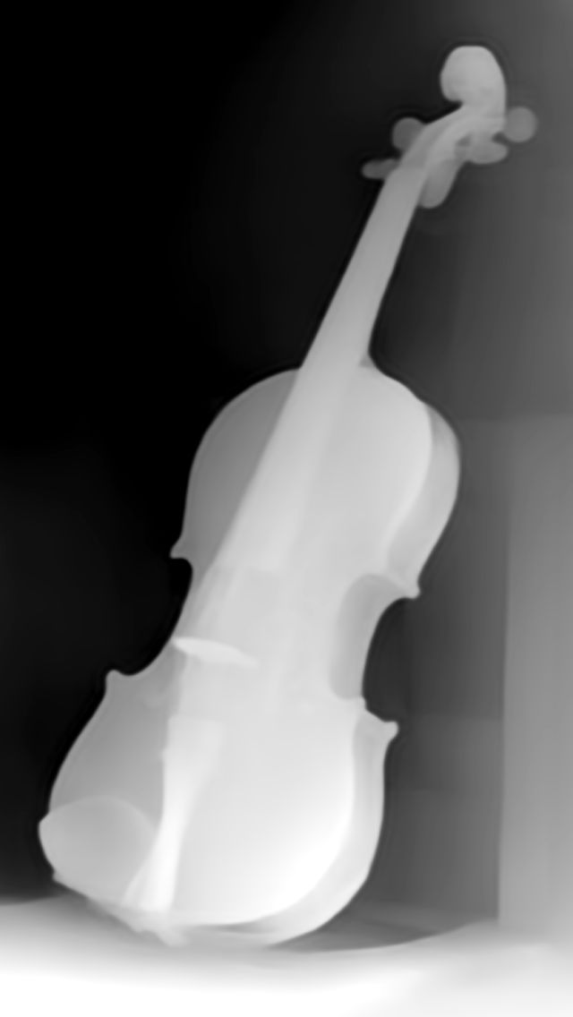 Can You Spot Them? This Week’s 5 Must-See Stereogram Reveals - The ...