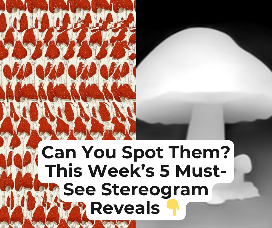 Can You Spot Them? This Week’s 5 Must-See Stereogram Reveals - The ...