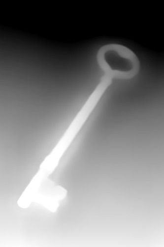 Can You Spot Them? This Week’s 5 Must-See Stereogram Reveals - The ...