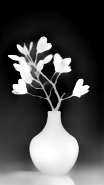 Can You Spot Them? This Week’s 5 Must-See Stereogram Reveals - The ...