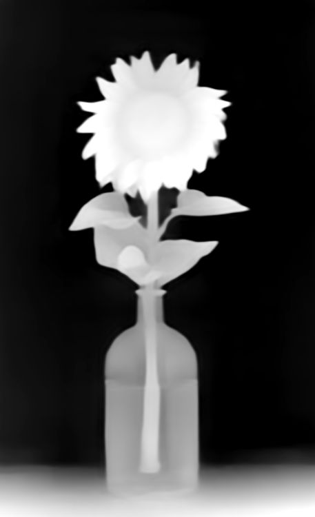 Can You Spot Them? This Week’s 5 Must-See Stereogram Reveals - The ...